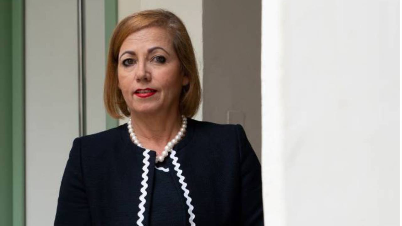 Ann Fenech, Partner at Fenech & Fenech Advocates, re-elected VP of ...