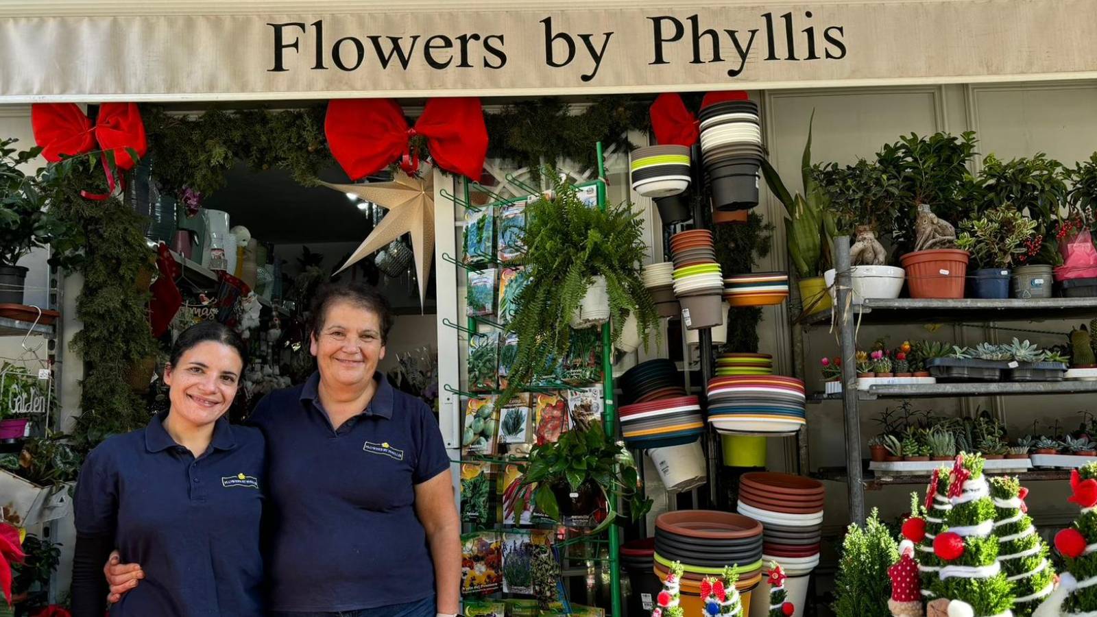 Poinsettias sales remain strong as beloved Christmas tradition persists ...