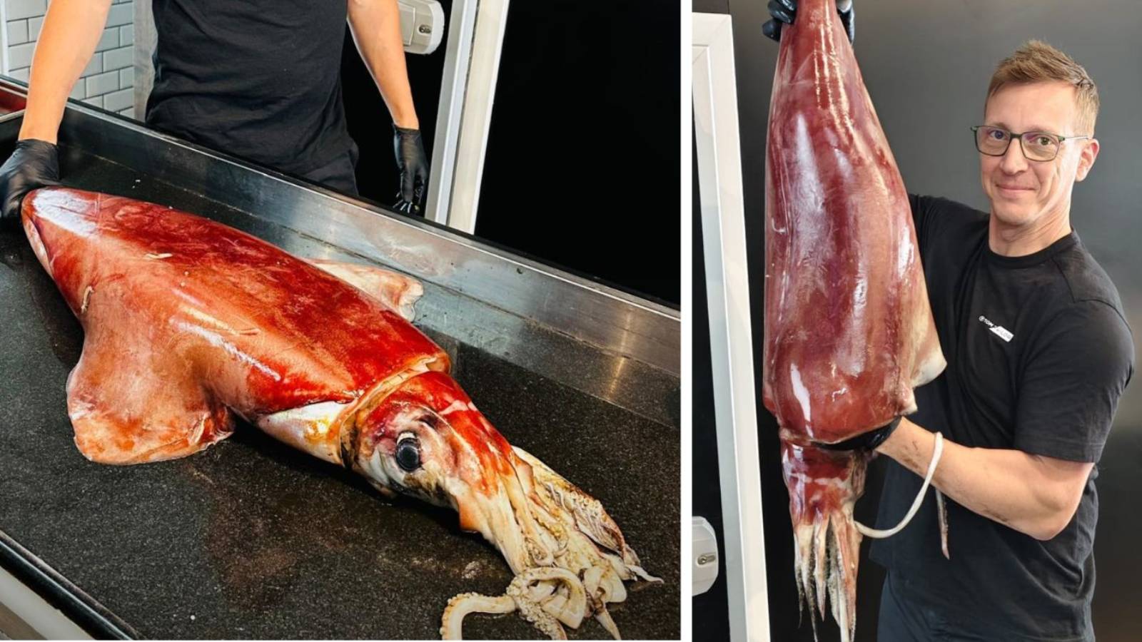 Adam’s Fish Shop receives astonishing 13kg squid delivery