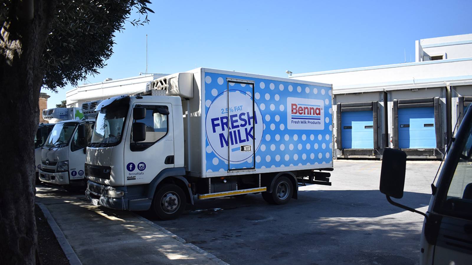Company Profiles in Malta: Malta Dairy Products Ltd – leading ...