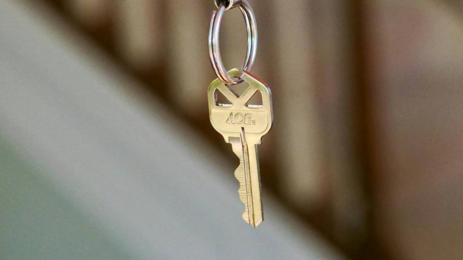 Company Profiles in Malta: Victor Estate Property Management – Caring ...