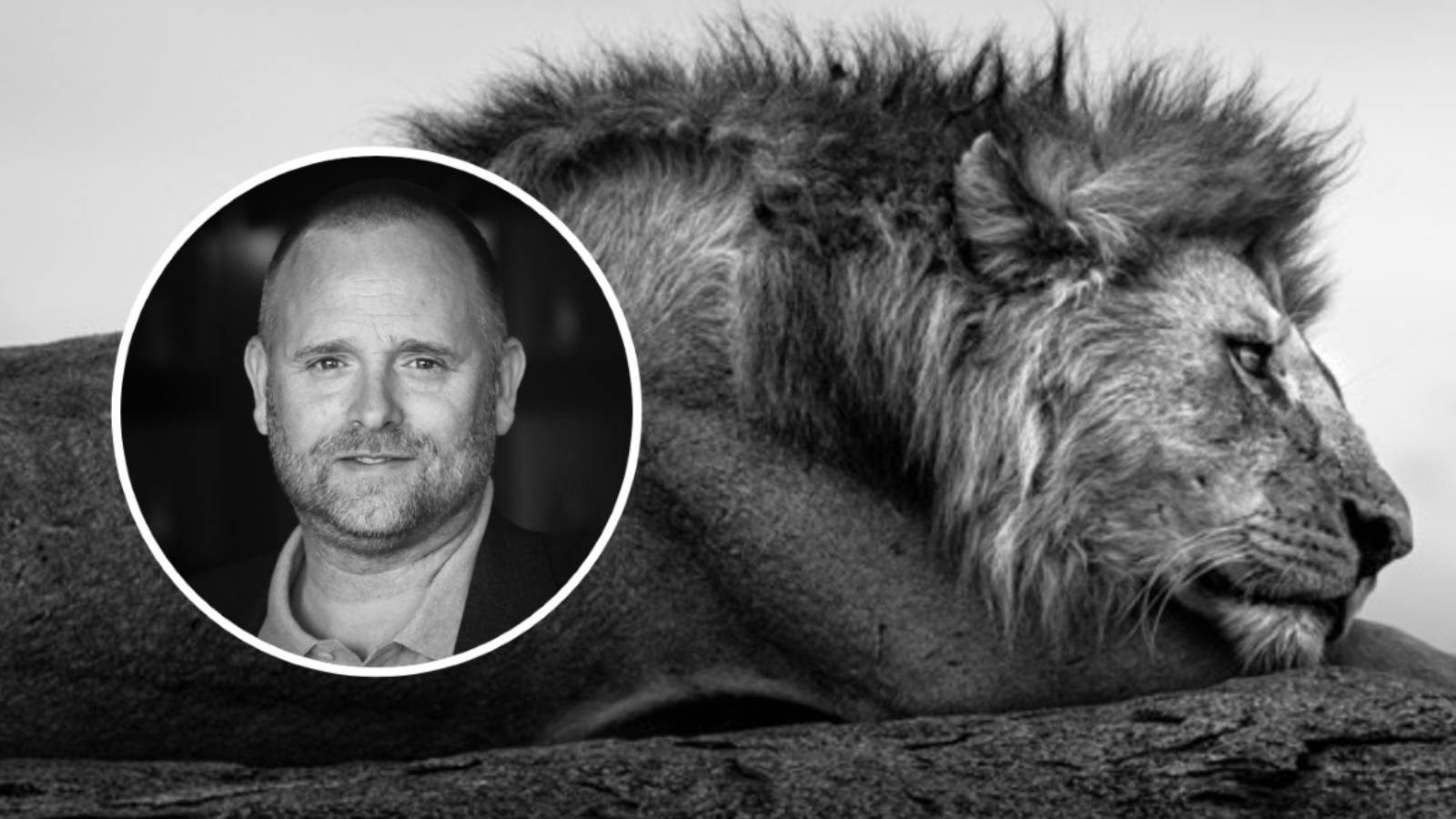 Johan Siggesson wins four gold medals at London Photography Awards
