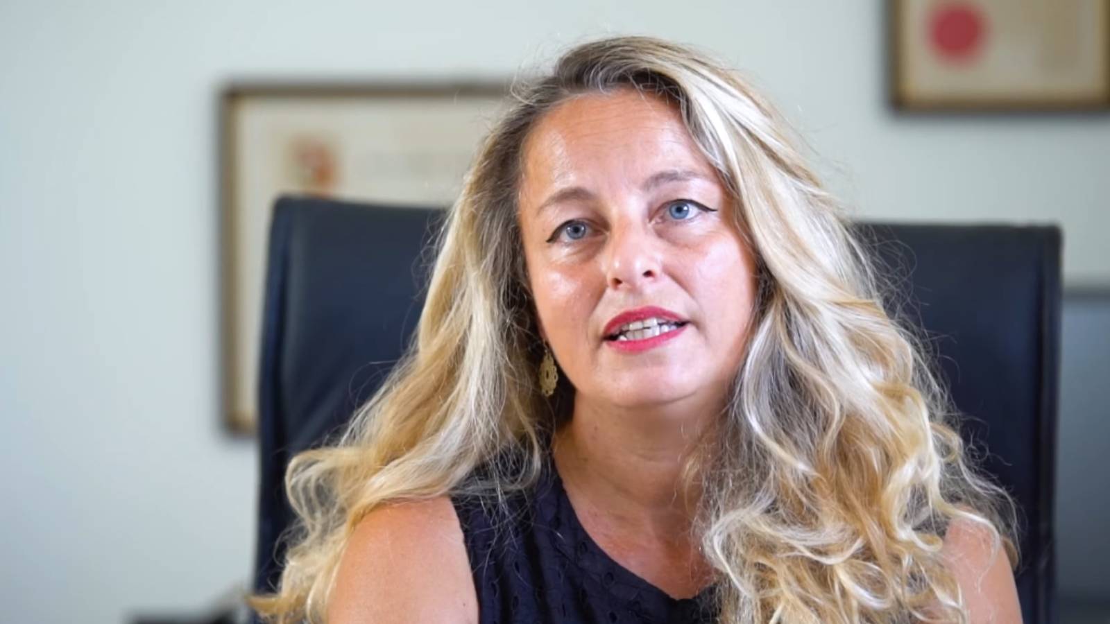 ‘Brutal, reckless': Lawyer Claire Bonello says planning reforms put ...