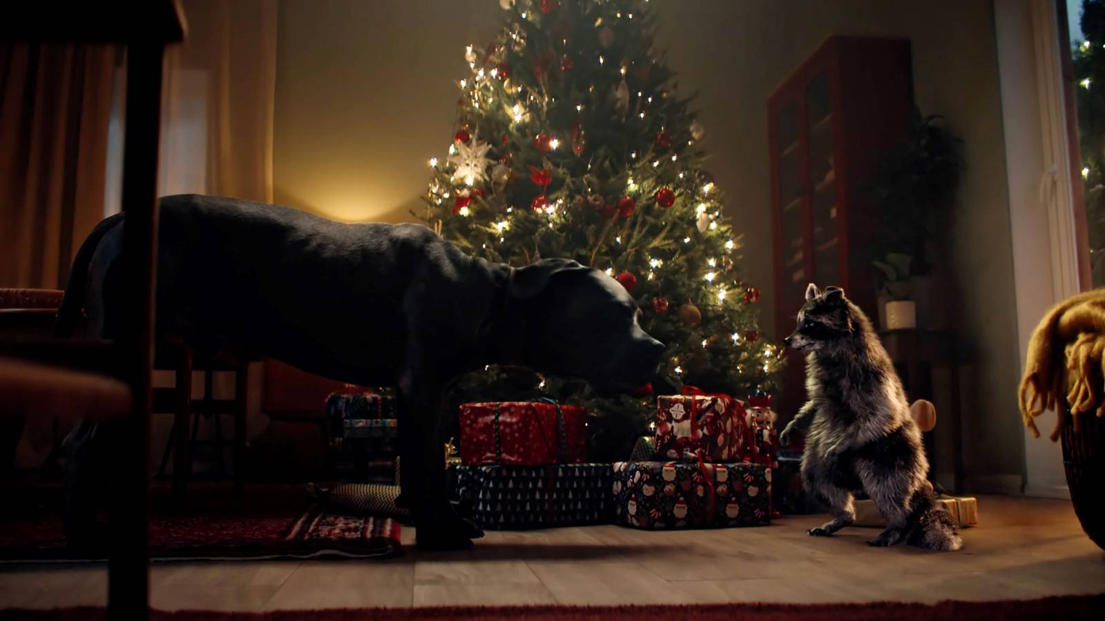 Lidl launches Christmas campaign capturing holiday spirit through the ...
