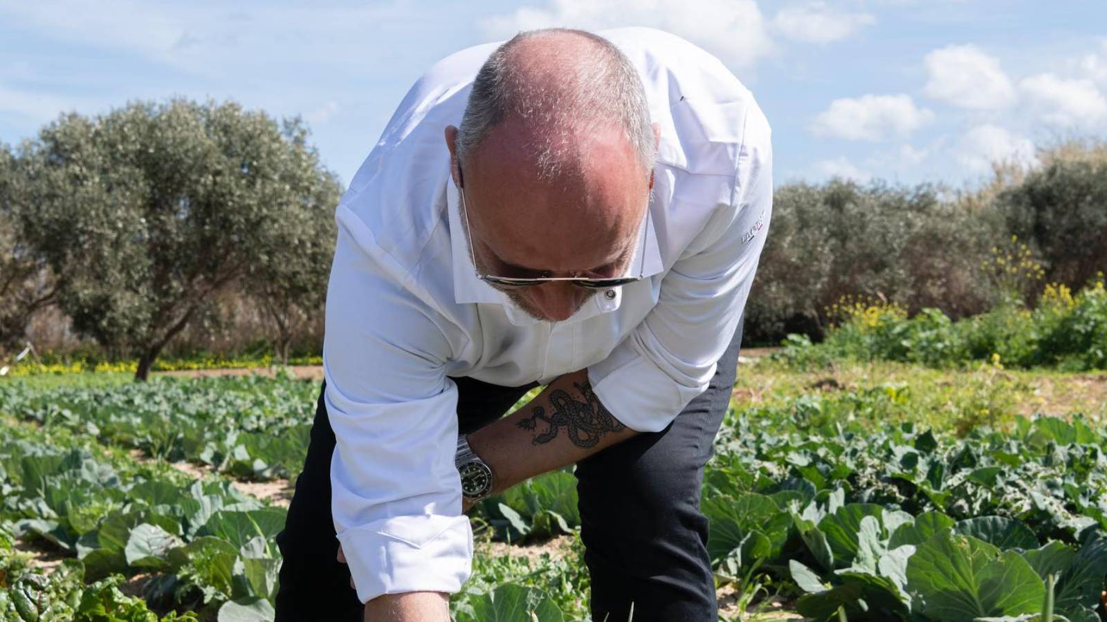 ION Harbour welcomes farm-to-food pioneer Simon Rogan