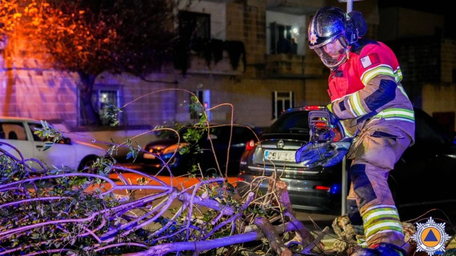 CPD responds to 42 tree obstructions as Storm Harry hits Malta