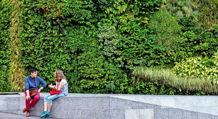 Financial support for urban green projects placed top of PA’s Agenda ...